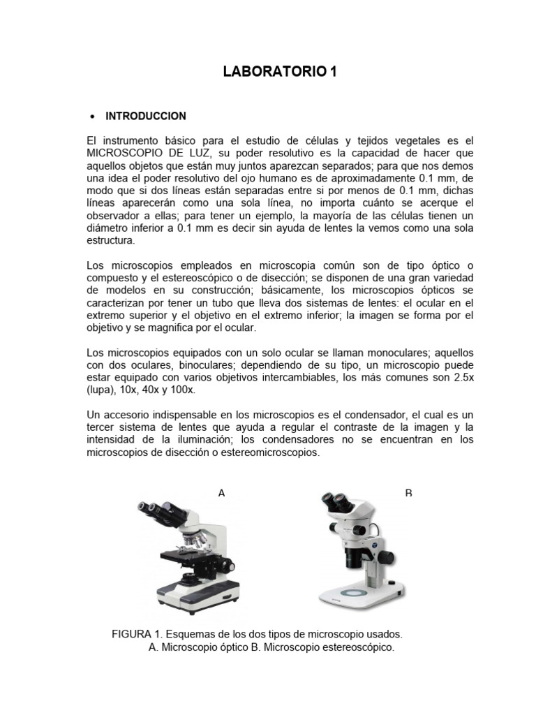 Practica Micros | PDF | Microscopio | Óptica