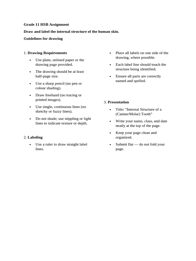 11 HSB Drawing Assignment - Excretory System | PDF