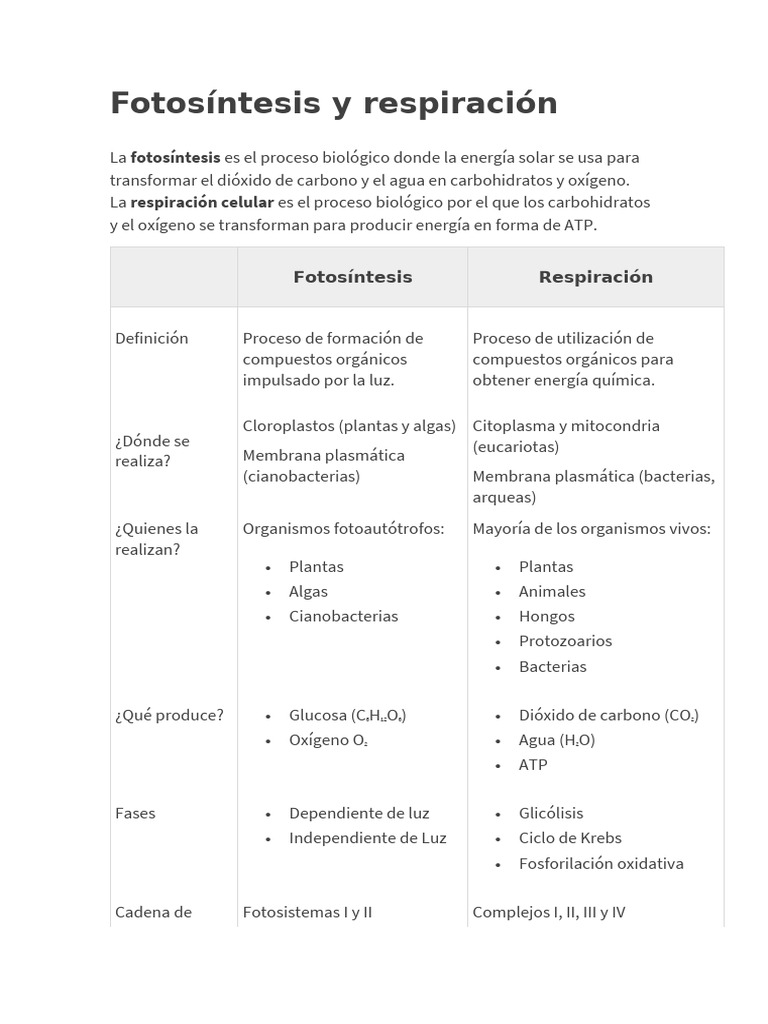 Fotosíntesis y Respiración Part 2 | PDF | Fotosíntesis | Respiración ...