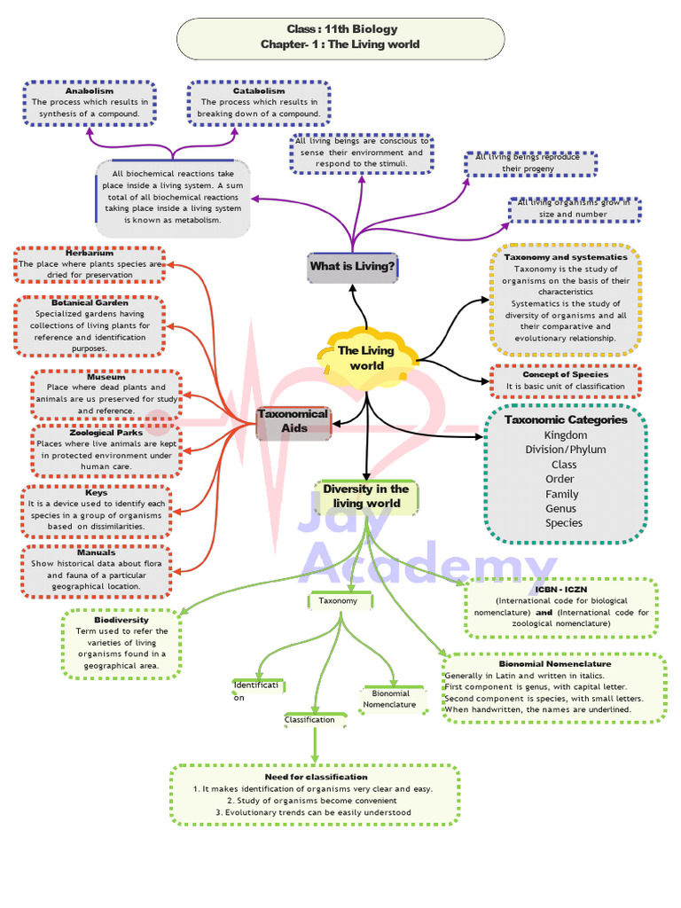 Understanding Biological Classification | PDF | Meiosis | Mitosis
