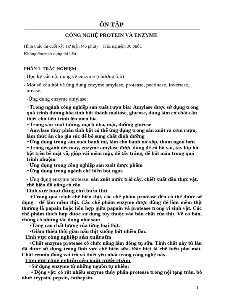 Nội Dung Ôn Tập Môn CN Protein - Enzyme | PDF