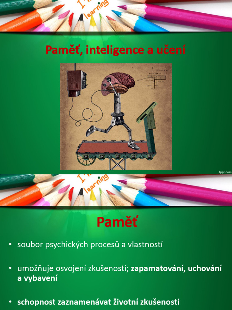 Pamet Inteligence A Uceni | PDF