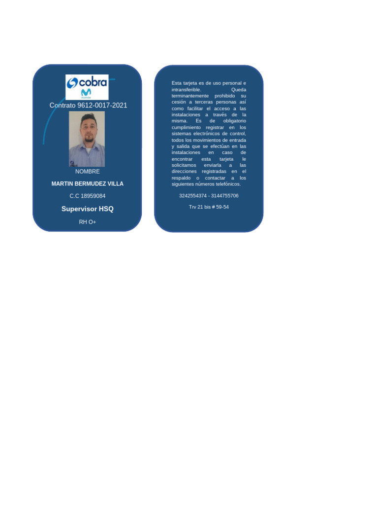 Modelo de Carnet | PDF
