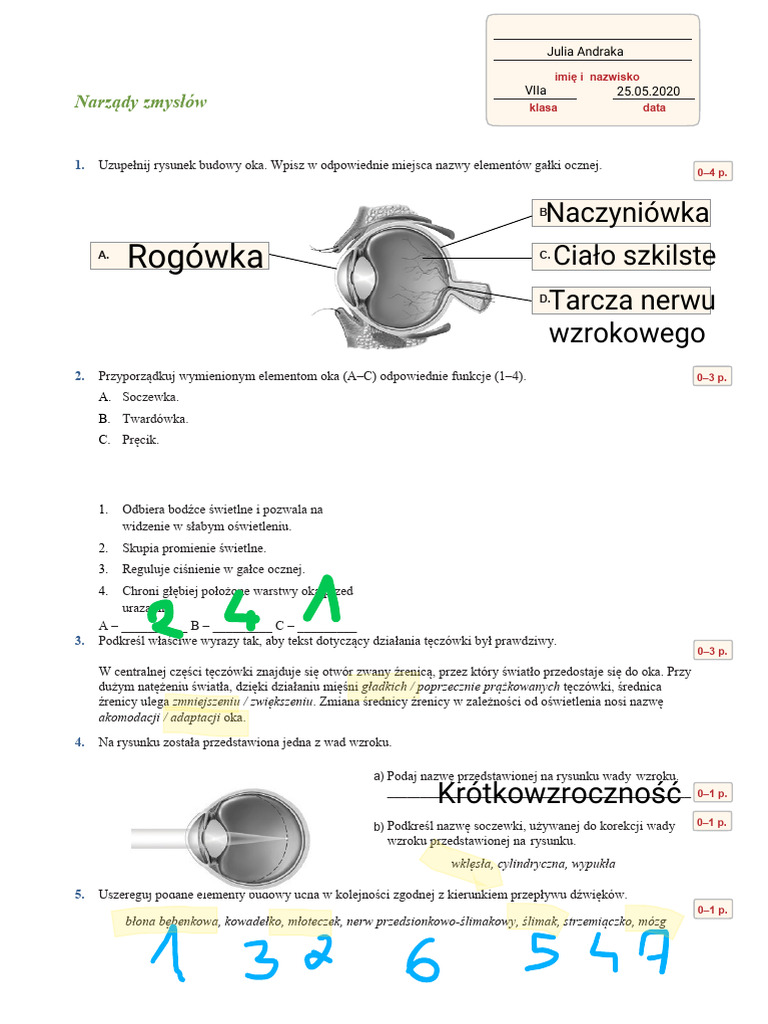 Edited Julia Andraka Test Po Dziale 9 Narzady Zmyslow | PDF