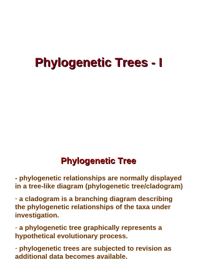PhylogenyReconstruction I | PDF | Phylogenetic Tree | Clade