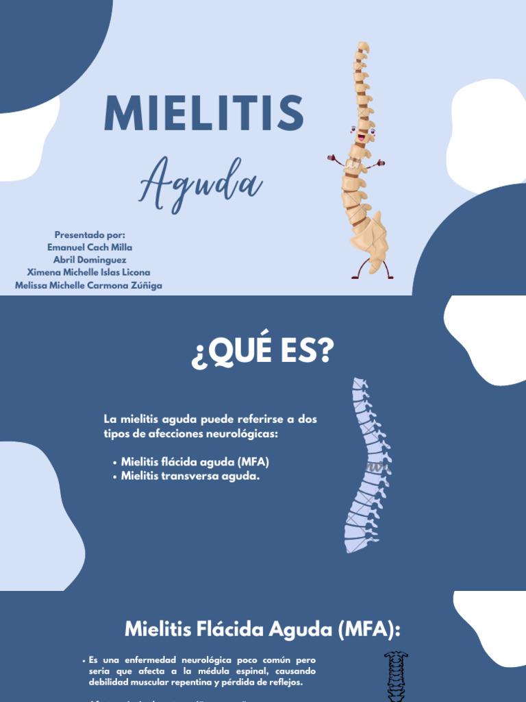 Mielitis Aguda: Tipos y Tratamientos | PDF | Mielina | Inflamación