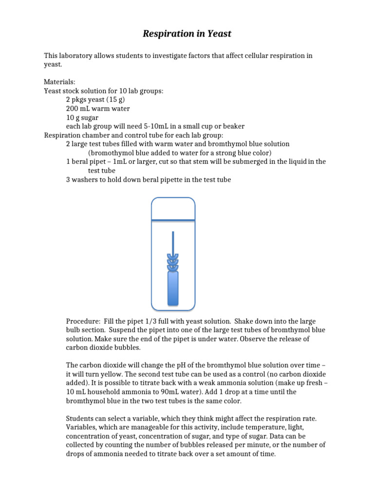 Yeast Respiration Lab Experiment Guide | PDF