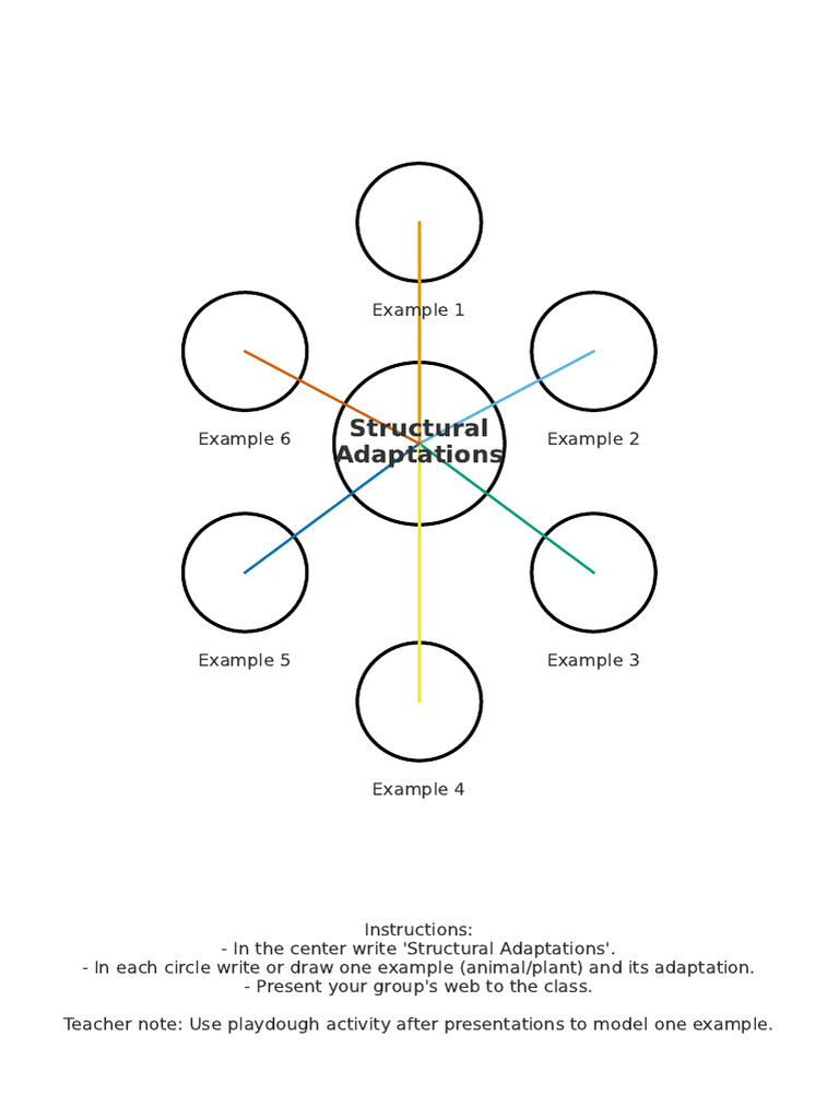 Structural Adaptations Web | PDF