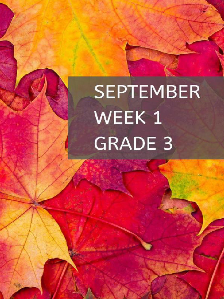 1 September Week 1 Grade 3 | PDF