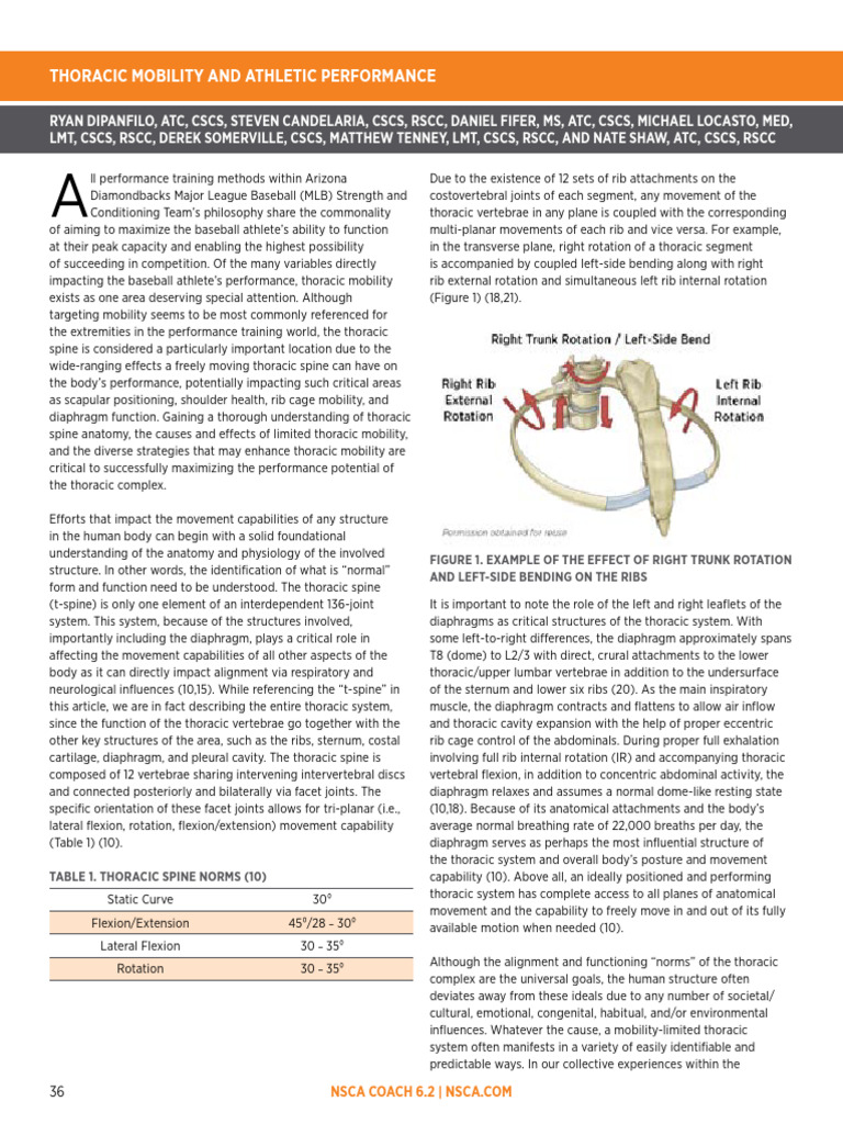 Enhancing Thoracic Mobility for Athletes | PDF | Abdomen | Vertebra