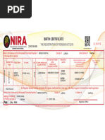 NIRA Birth Certificate Registration Guide | PDF | Birth Certificate ...