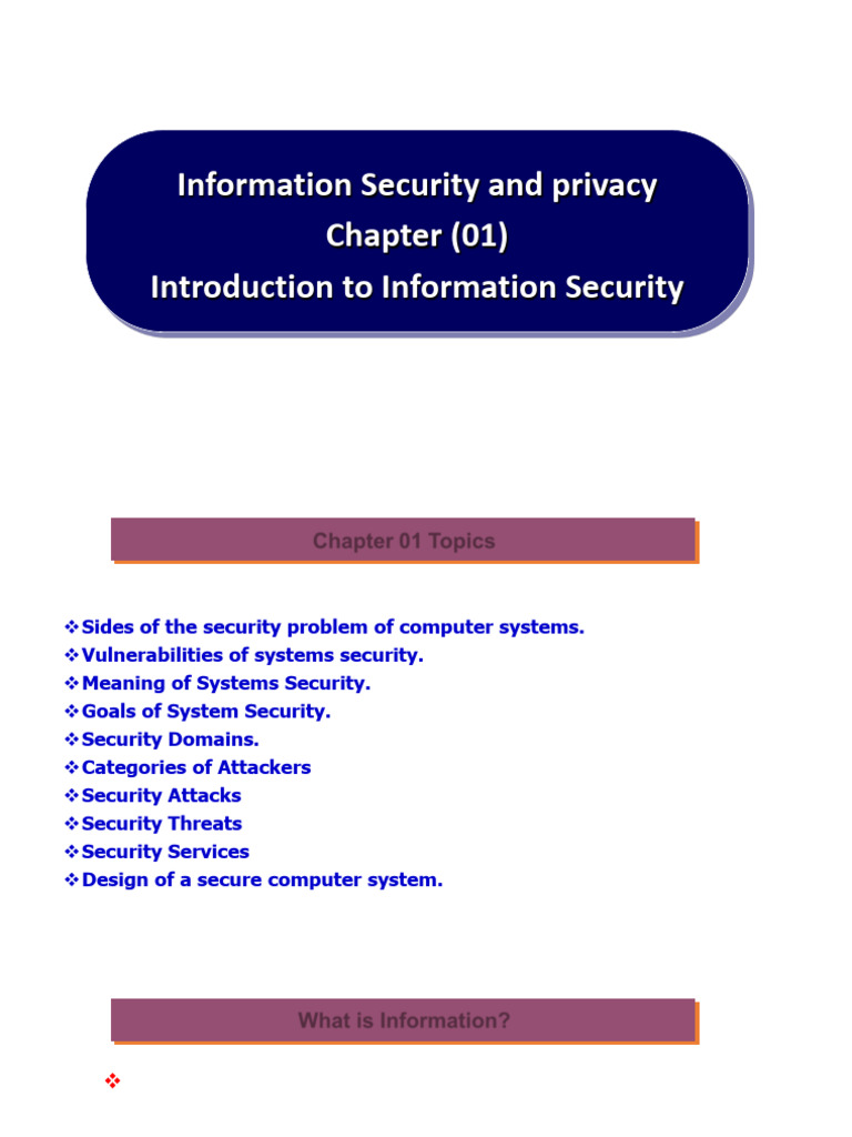 Ch01-Introduction To ISP | PDF | Security | Computer Security