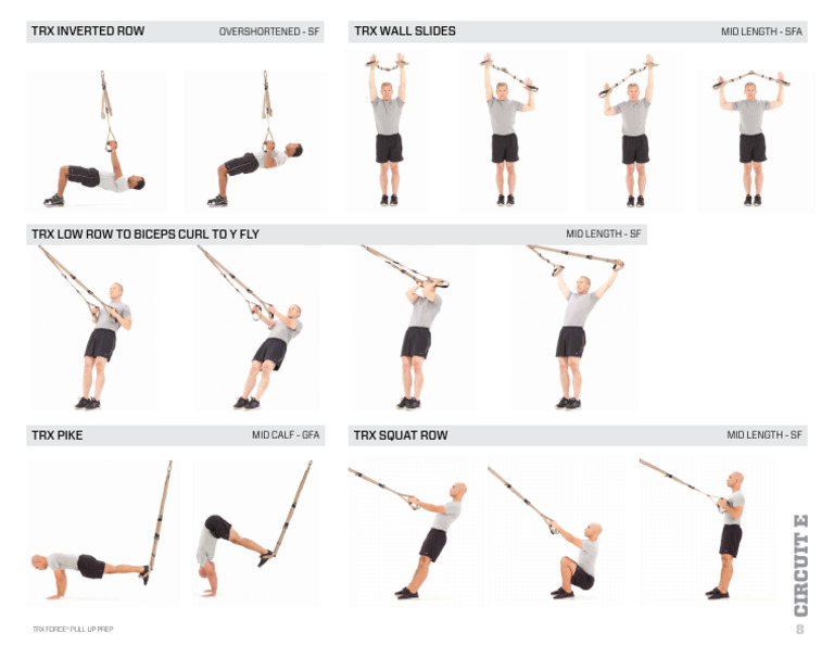 TRX Workout Circuit Exercises Guide | PDF