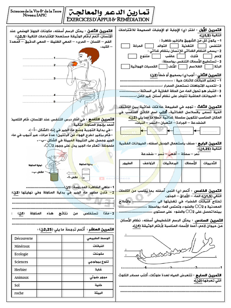 Exercices de Remediation SVT 1AC | PDF