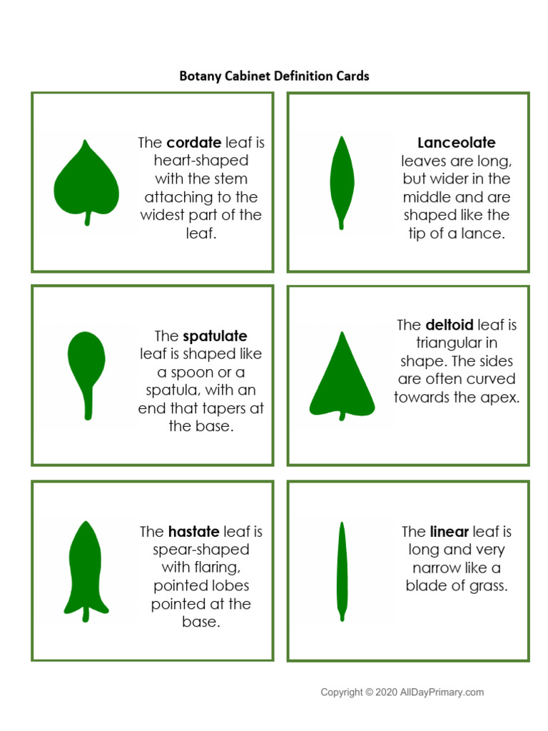 Botany Cabinet Definition Cards | PDF