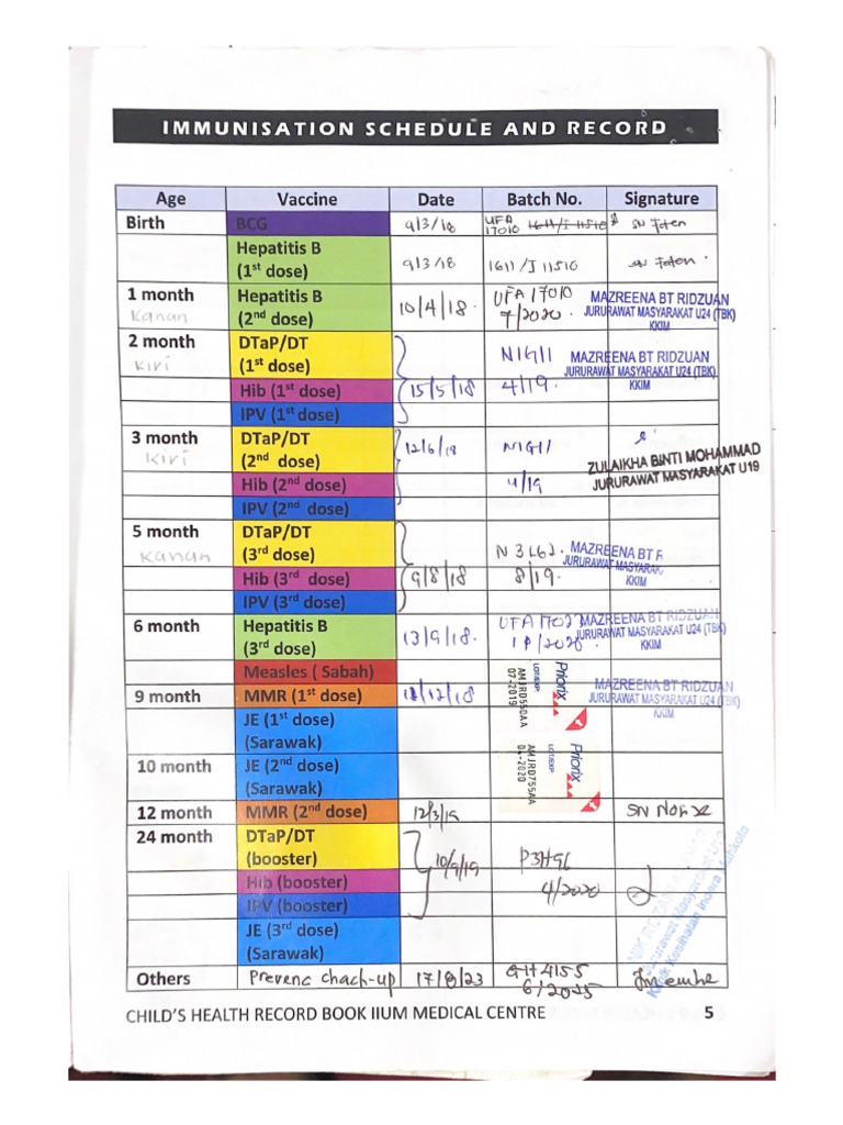 Immunisation Schedule and Record | PDF