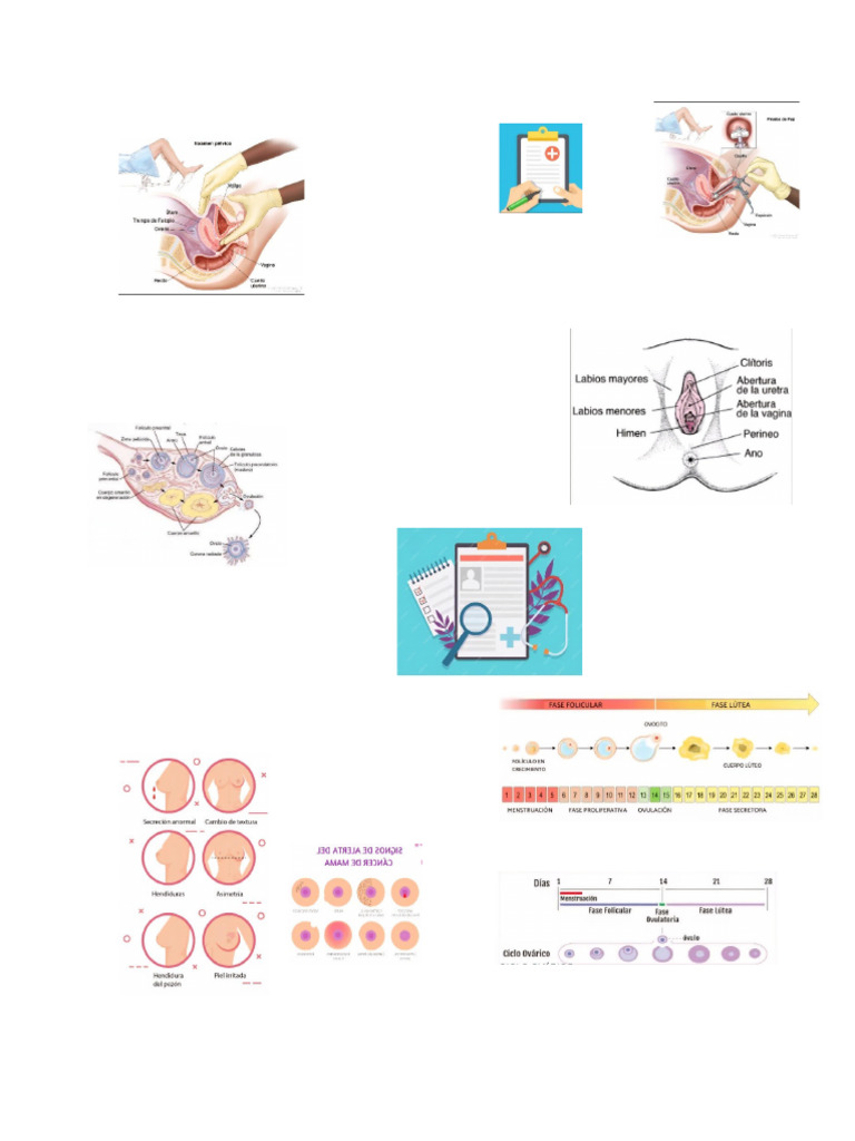 Diagrama Tepec | PDF