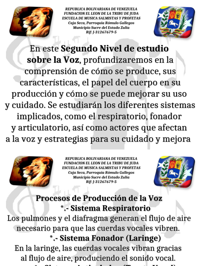 Introducción y Generalidades de La Voz | PDF | Sonido | Habla