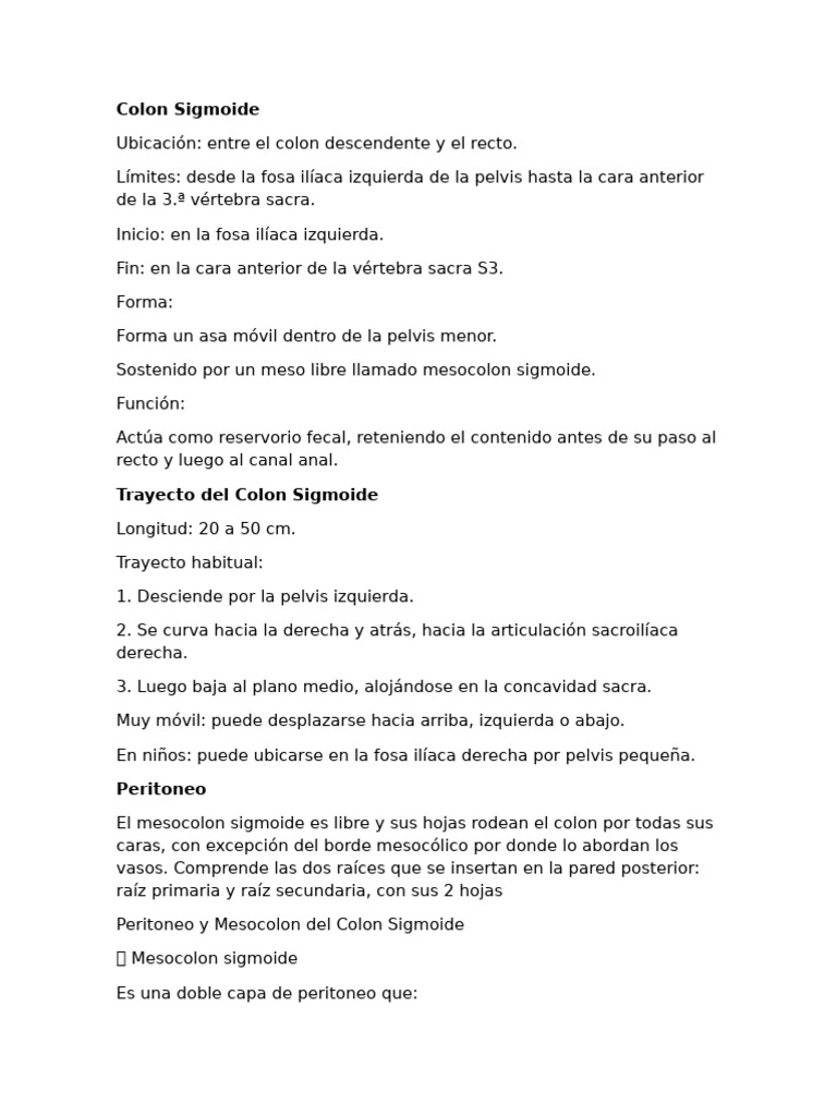 Colon Sigmoide | PDF | Intestino grueso | Pelvis