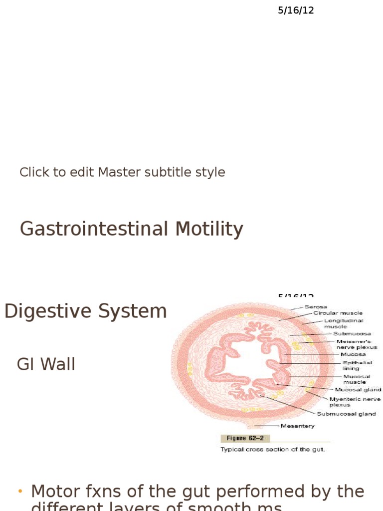 Gastrointestinal Motility | PDF | Stomach | Gastrointestinal Tract