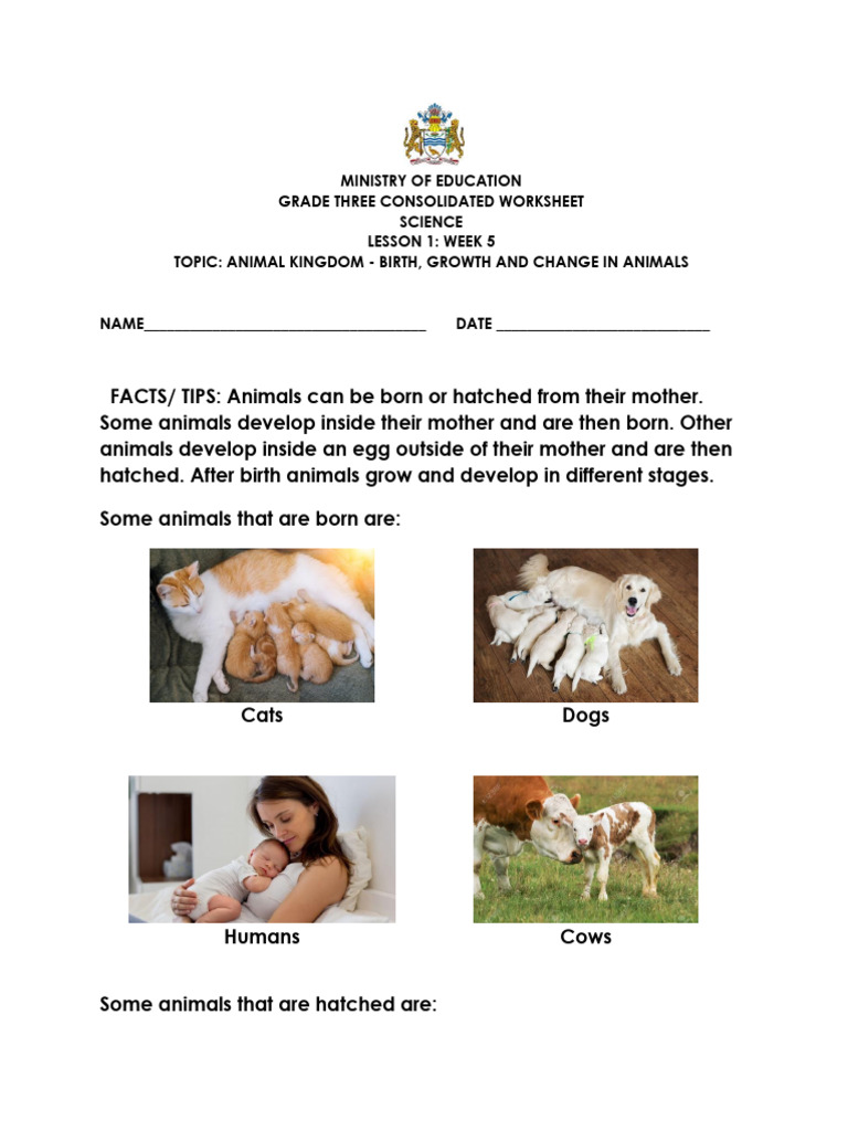 Grade 3 Science: Animal Growth Stages | PDF