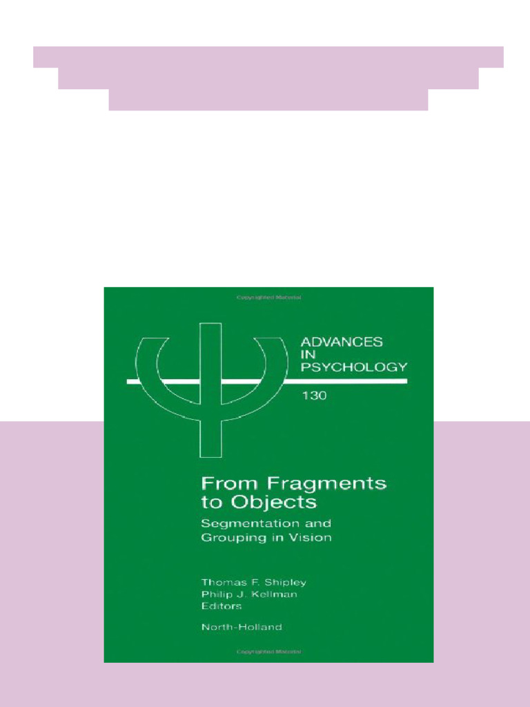 From Fragments To Objects Segmentation and Grouping in Vision 1st ...