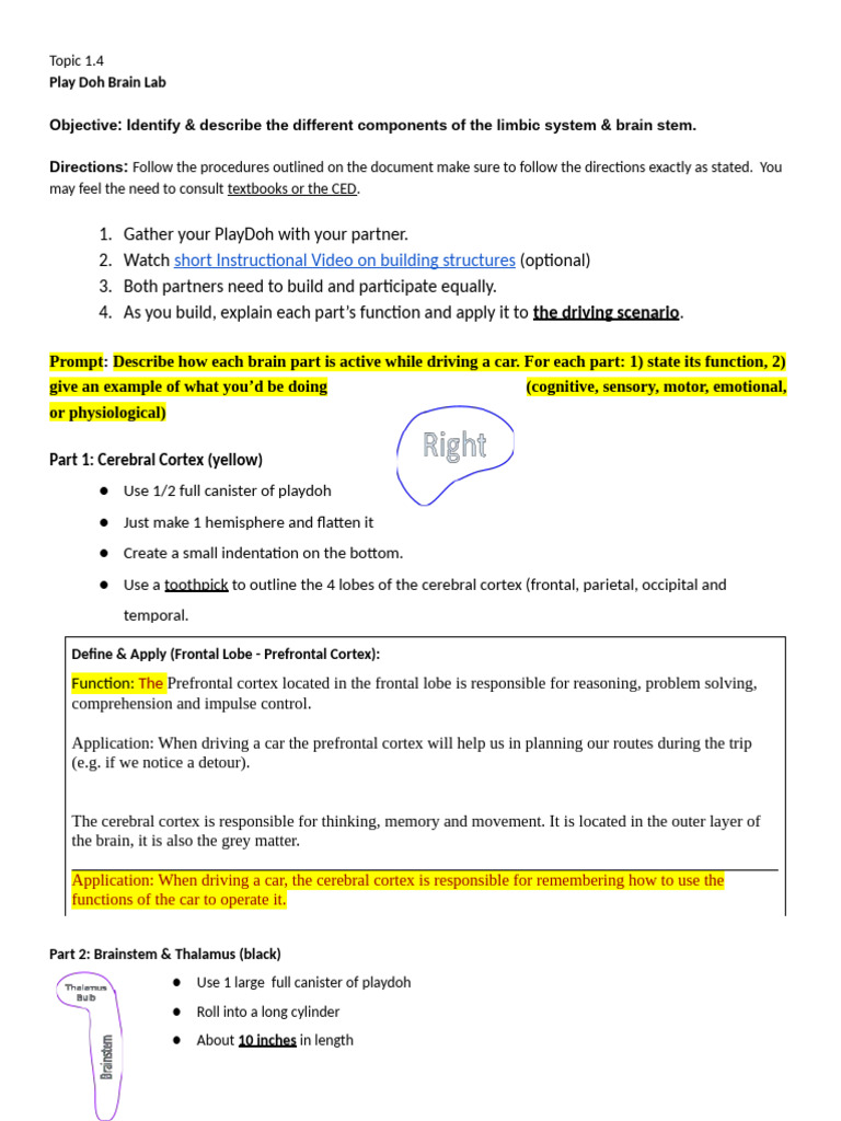 Sze Nga Chelsea Chan - Topic 14 Play Doh Brain Lab - 13753334.4 Playdoh Brain Lab | PDF ...