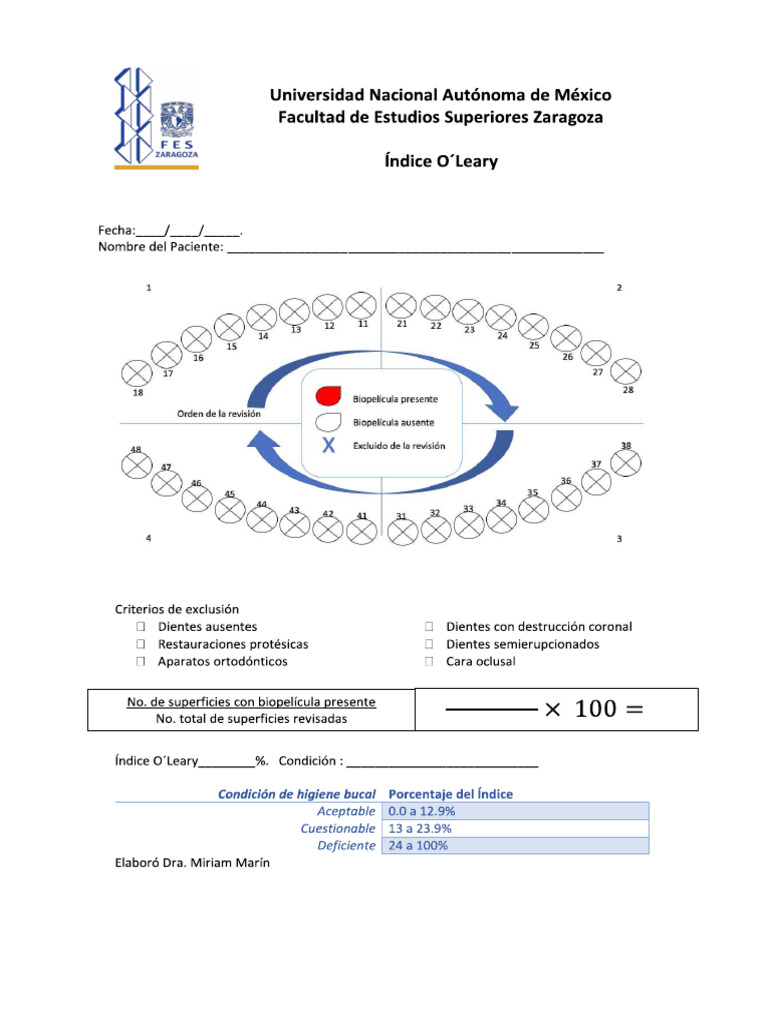 Formato Oleary | PDF