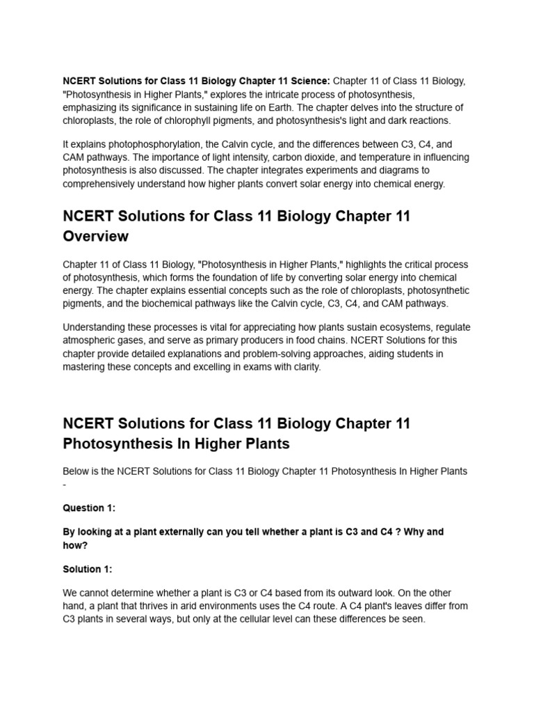 NCERT Class 11 Biology Photosynthesis Guide | PDF | Photosynthesis ...