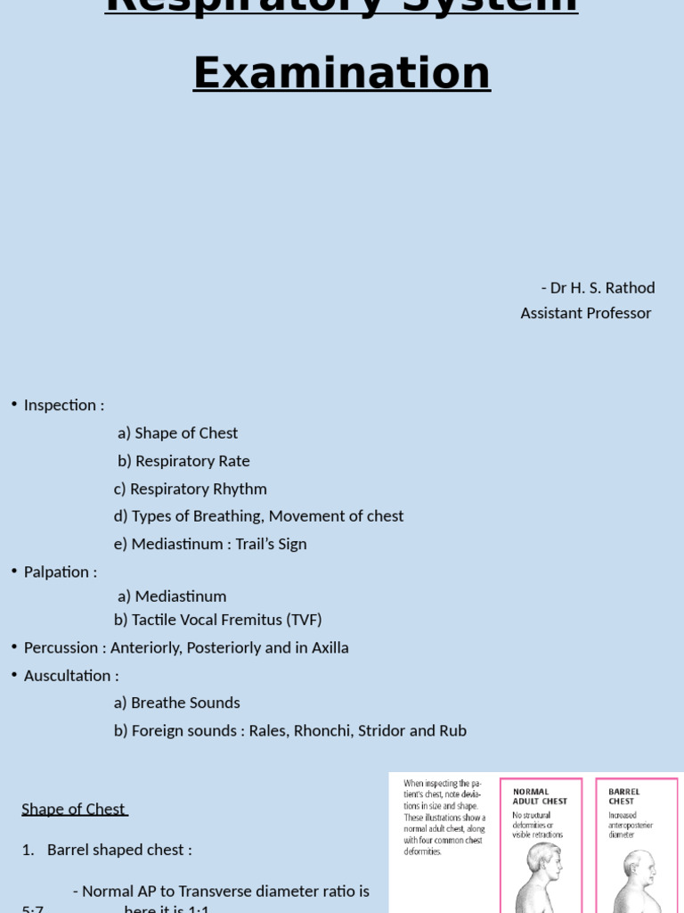 Respiratory System Examination | PDF | Lung | Thorax