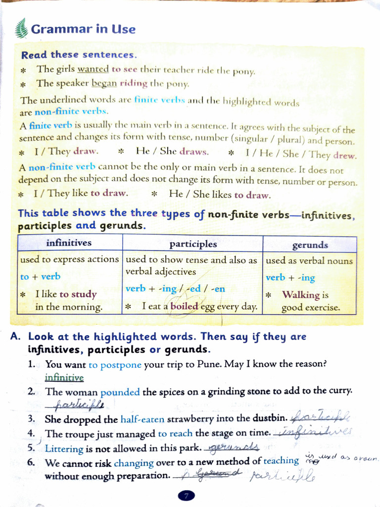 Class 8th English Coursebook | PDF | Verb | Grammatical Conjugation