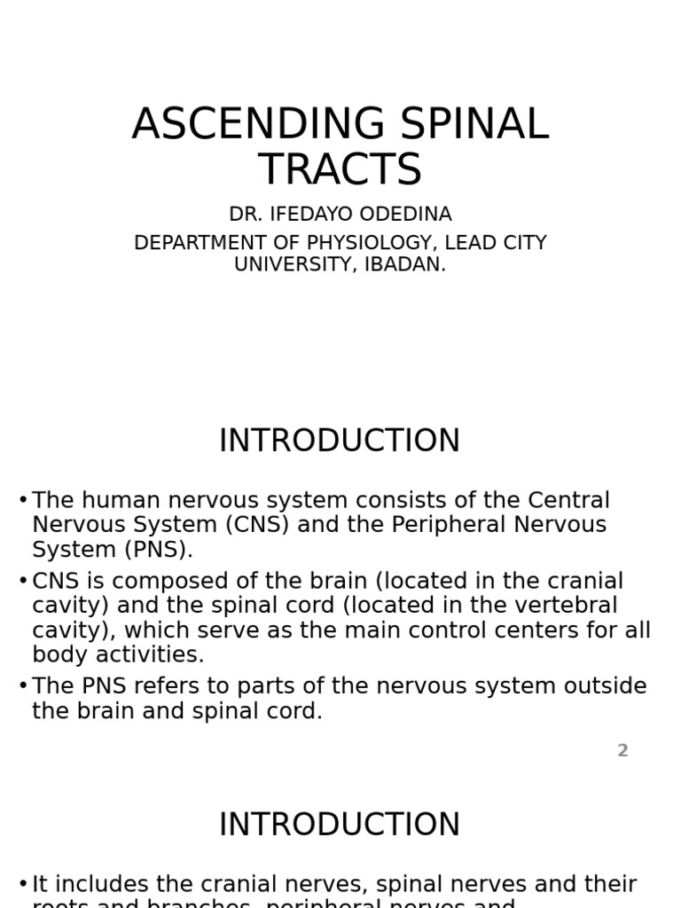 Overview of Ascending Spinal Tracts | PDF | Spinal Cord | Neuroanatomy