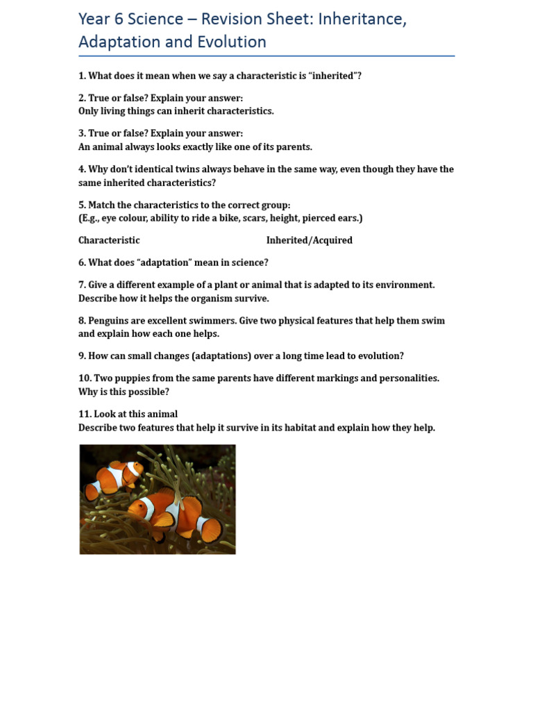 Year 6 Science: Inheritance & Adaptation Guide | PDF