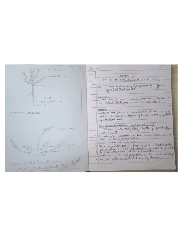 Biology Record. Section B | PDF