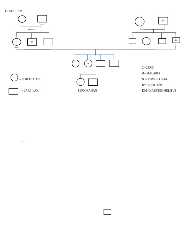 GENOGRAM 1 | PDF
