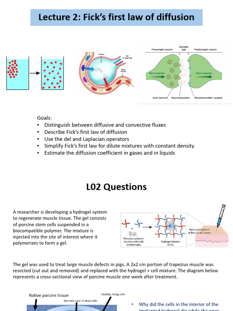 Fick's Law of Diffusion Explained | PDF | Diffusion | Concentration