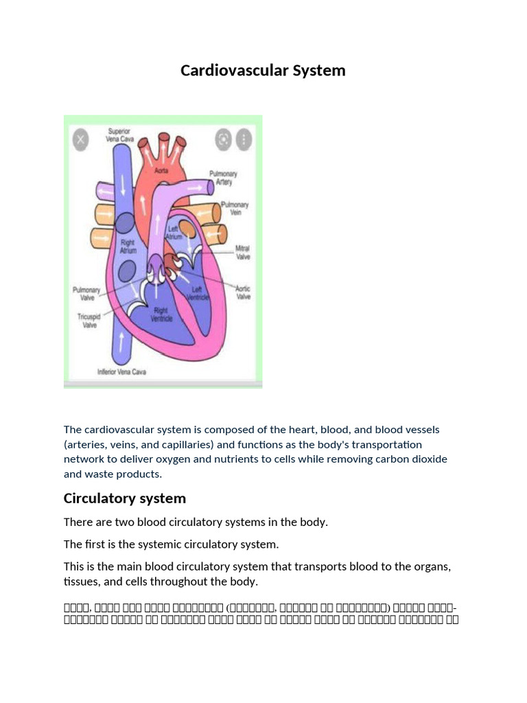 Cardiovascular System | PDF