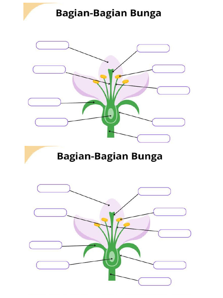 Bunga | PDF