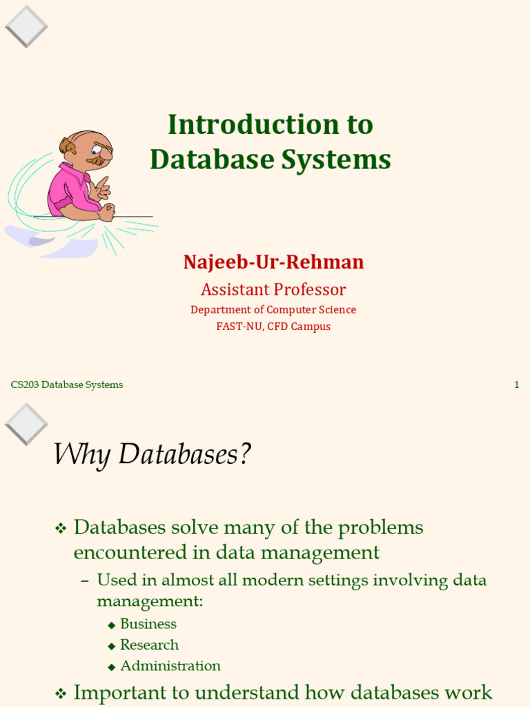 Introduction To Database Systems Pdf Databases Computer File