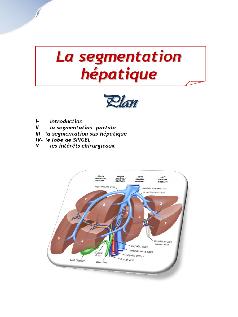 Segmentation hépatique et chirurgies | PDF | Foie | Anatomie