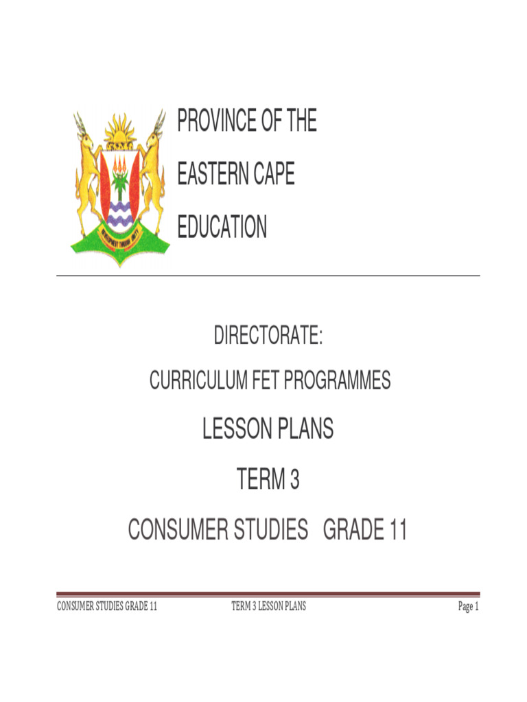 Grade 11 Consumer Studies Lesson Plans | PDF | Lesson Plan | Learning