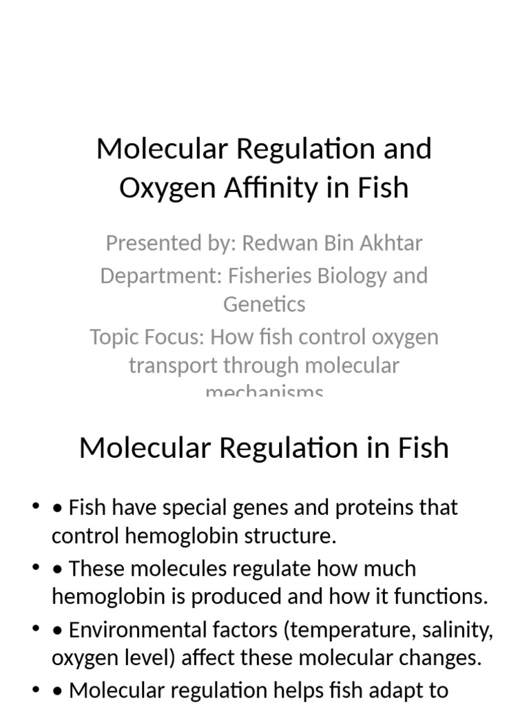 Molecular Regulation and Oxygen Affinity With Diagrams Redwan | PDF