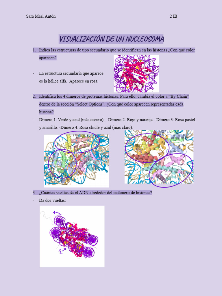 Estructura y función de los nucleosomas | PDF