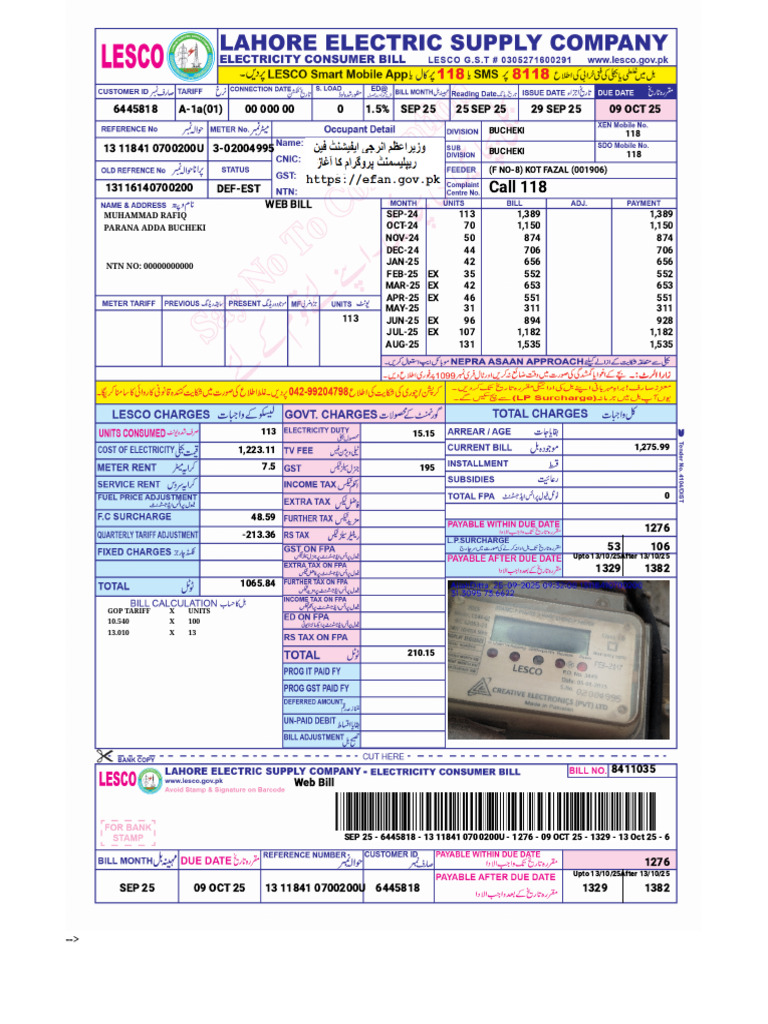 Lesco - Web Bill | PDF