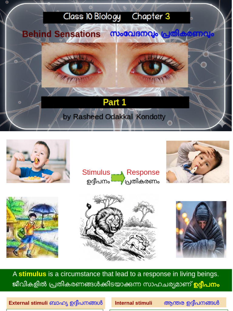Class 10 Biology - Chapter 3 Behind Sensations - PPT-1@Textbooks All | PDF