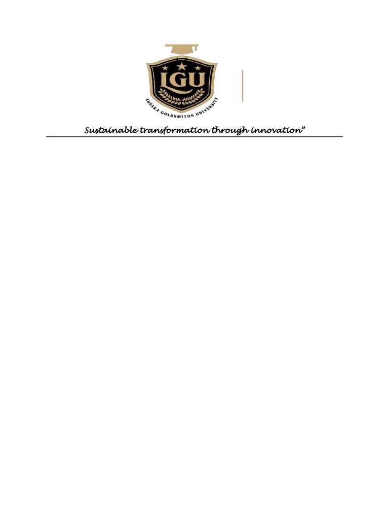 Sustainable Innovation in Social Work | PDF