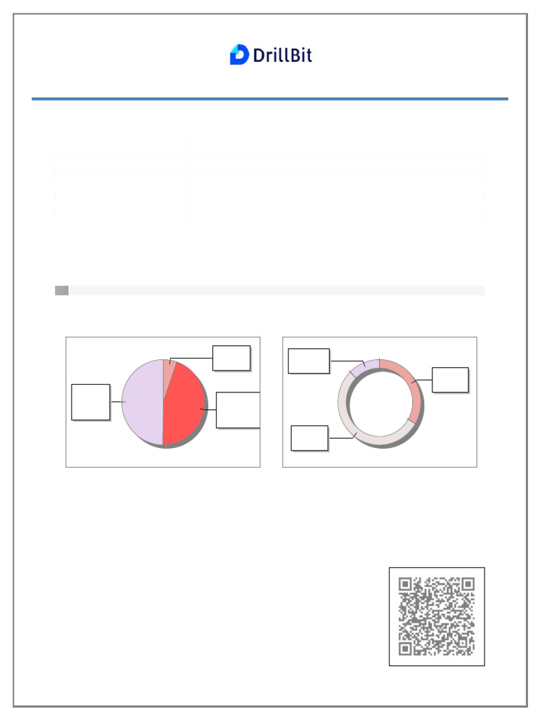 Plag Report (Aircraft Landing Gear) | PDF