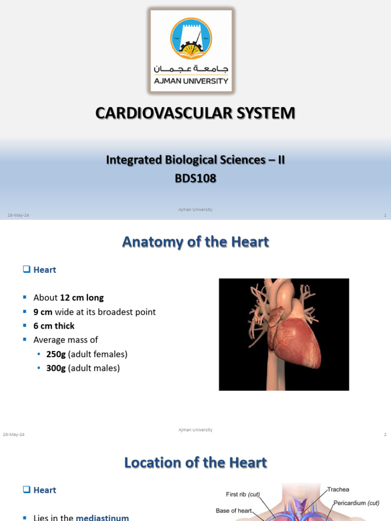 Anatomy and Function of the Heart | PDF | Coronary Circulation | Heart ...