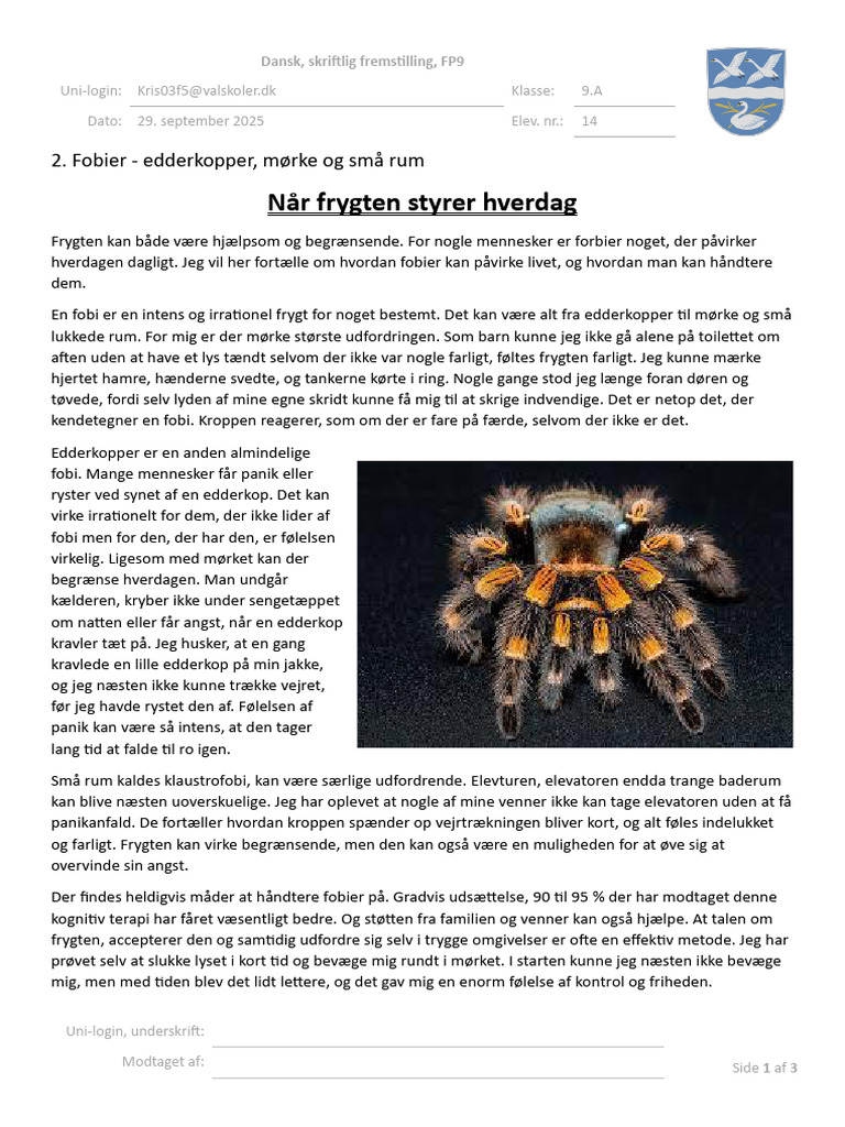 Dansk, Skriftlig Fremstilling, Skabelon | PDF