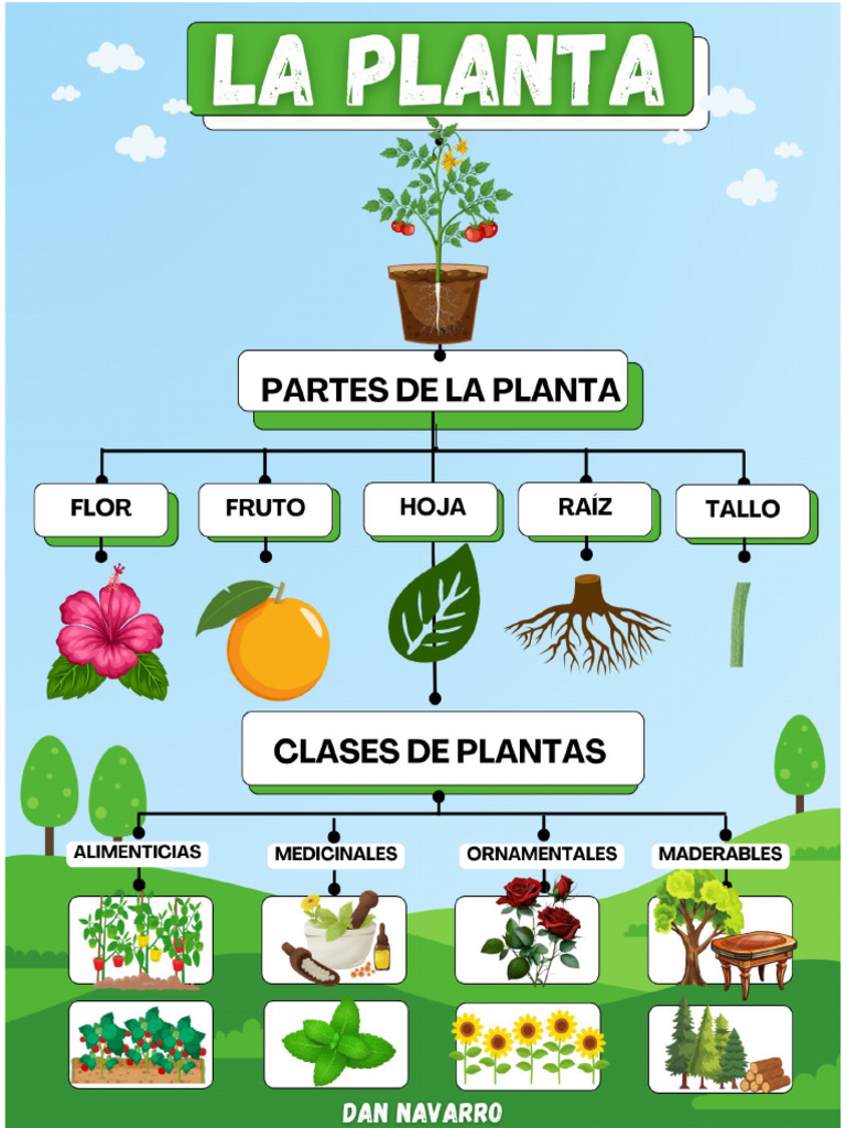Mapa Conceptual de Dan Navarro | PDF